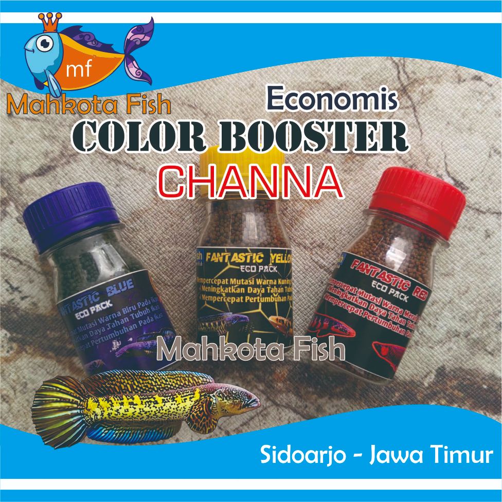 Chana Economical Color BOOSTER | Chana Fish Pellets | Chana Color Feed ...
