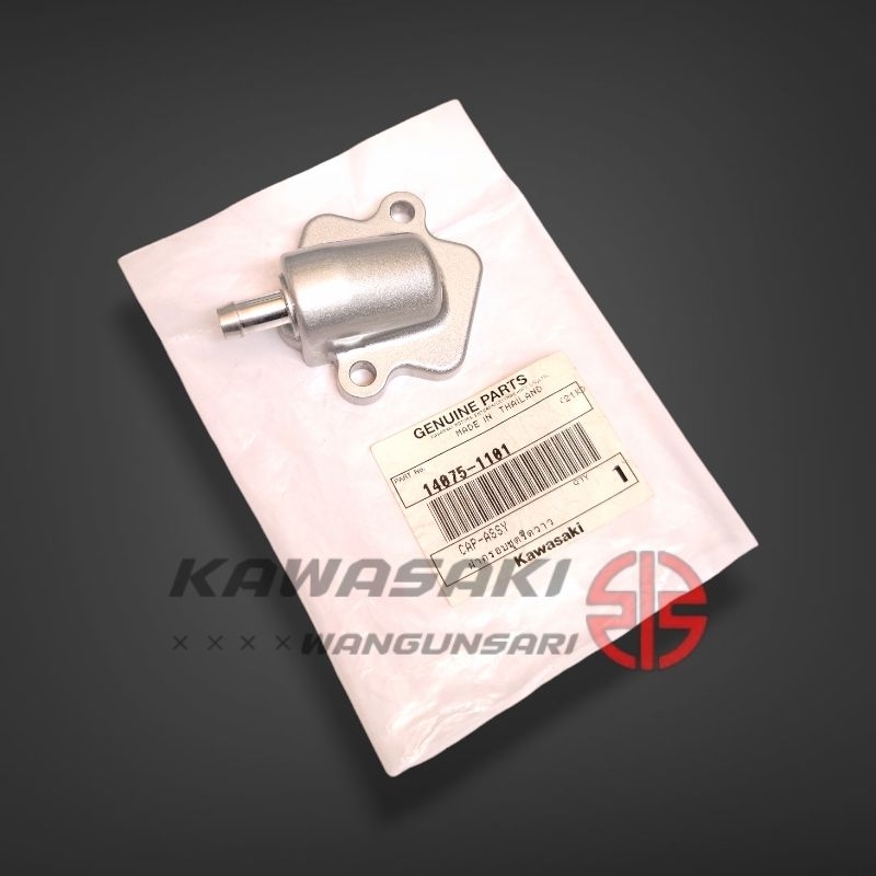 Original Kips NINJA ZX150 KGP Membrane Cover 14075-1101 | Shopee Malaysia