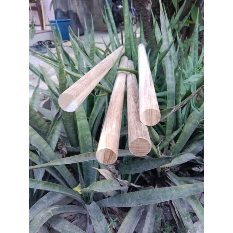 Raw Teak Wood, WAMBI Bird, Sister, MACAW Parrot, Etc. | Shopee Malaysia