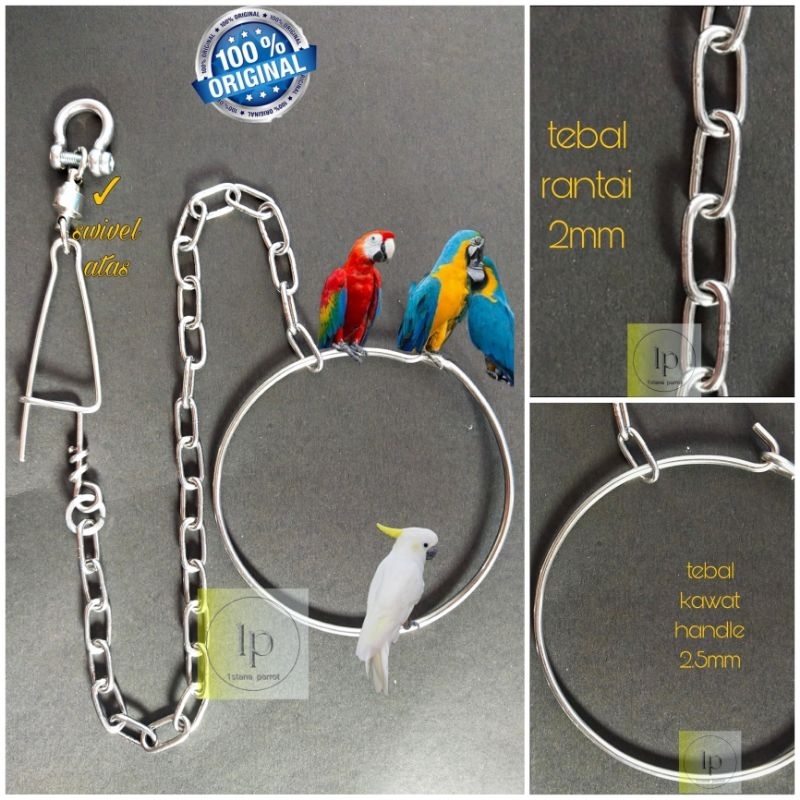 A SET Of 2mm Thick STAINLESS Bird Chain For: PARROT Cockatoo Ready To ...