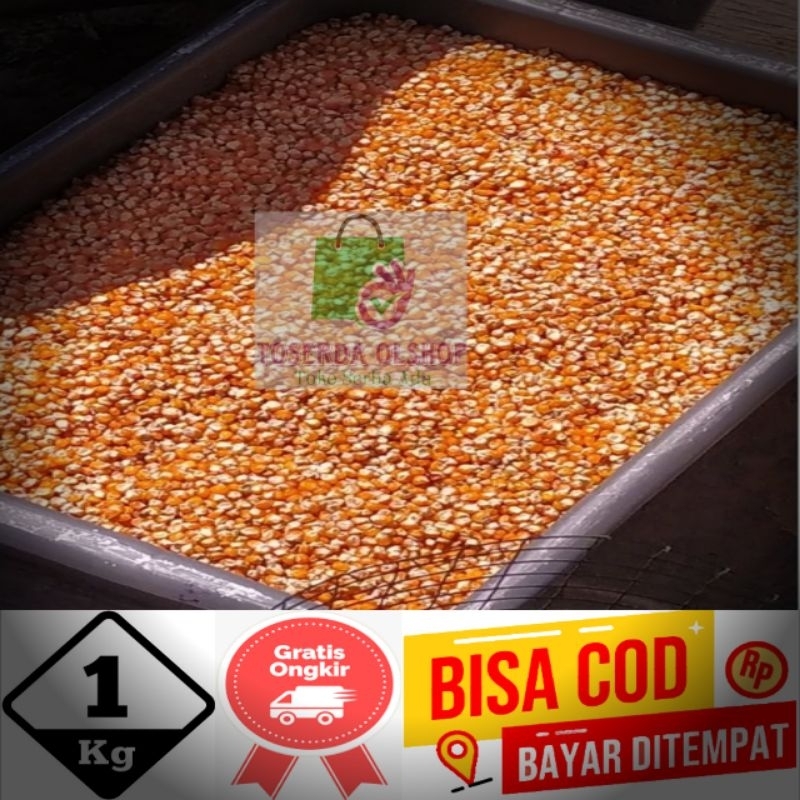 Ordinary dry corn small pupil / pointed crystal corn 1kg | Shopee Malaysia