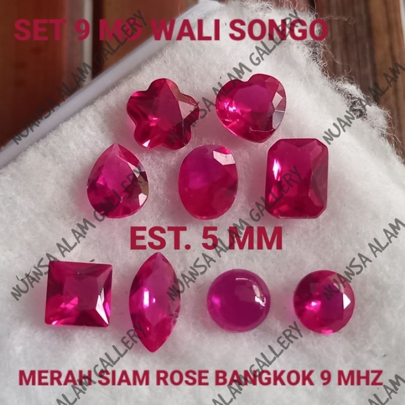 MERAH Set of Nine Types of Red Pomegranate Stone Shapes MD Red Siam ...