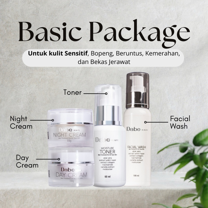 Ready BASIC PACKAGE DABE BEAUTE FACE PACKAGE | Shopee Malaysia