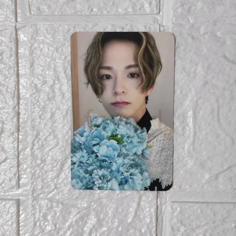 Official Asahi TREASURE photocard night garden collect book kolbuk pc ...