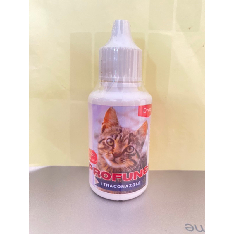 Pro FUNGI DROP fungal medicine for dogs and cats | Shopee Malaysia