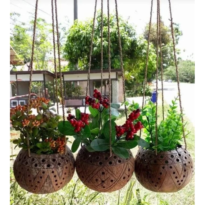 Hanging flower pots, coconut shell flower pots, unique flower pots ...