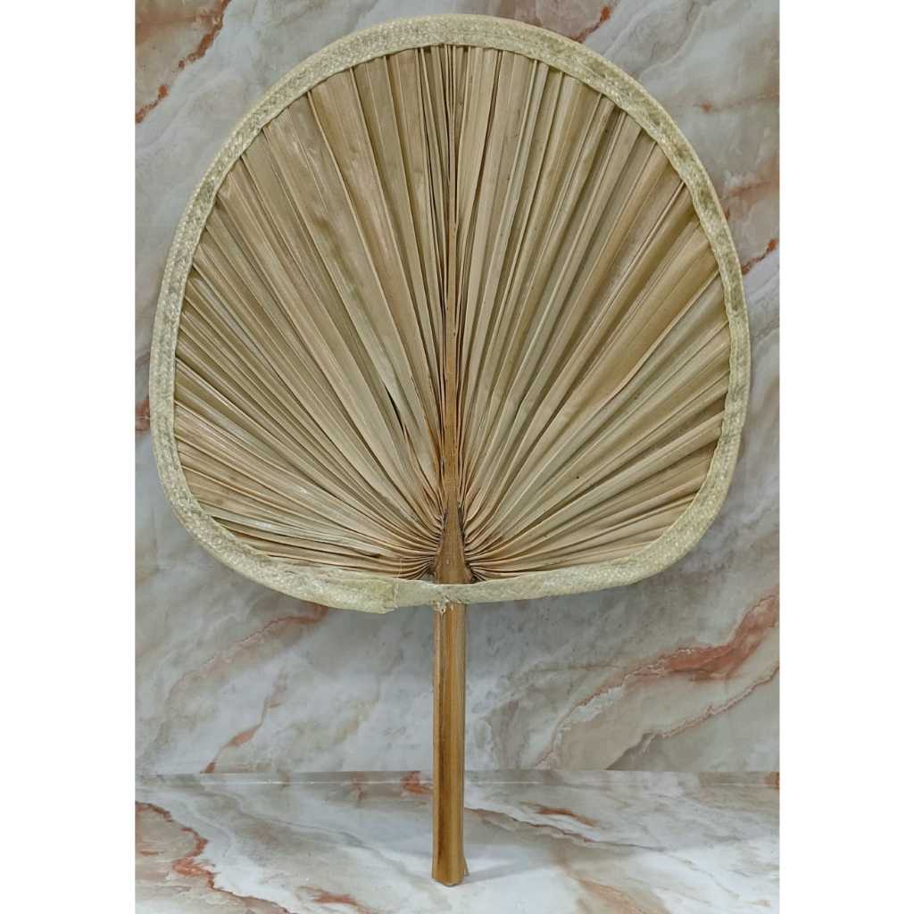 Fan cikung / chikung / ci kung / fan of god - dry leaves | Shopee Malaysia