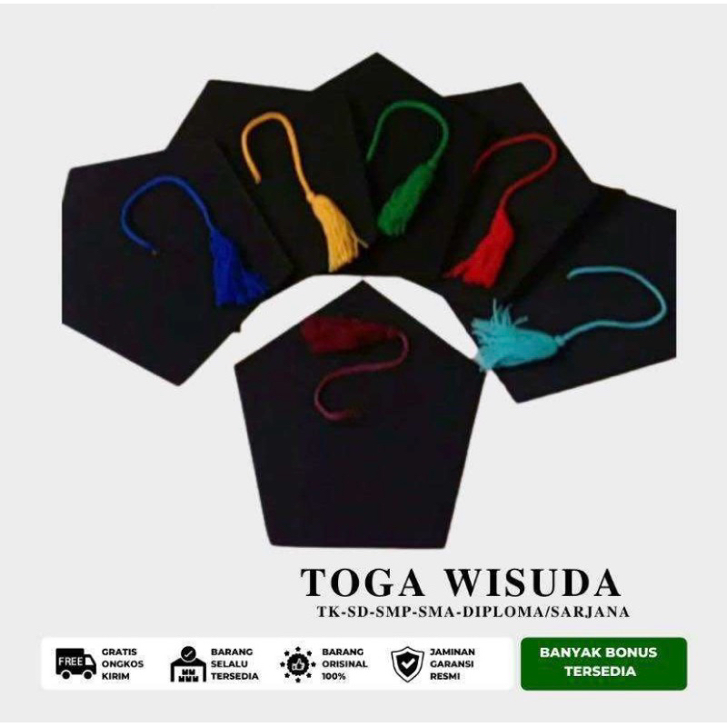 Bachelor's Graduation Toga Hats In Kindergarten,SD, And Adult Sizes ...
