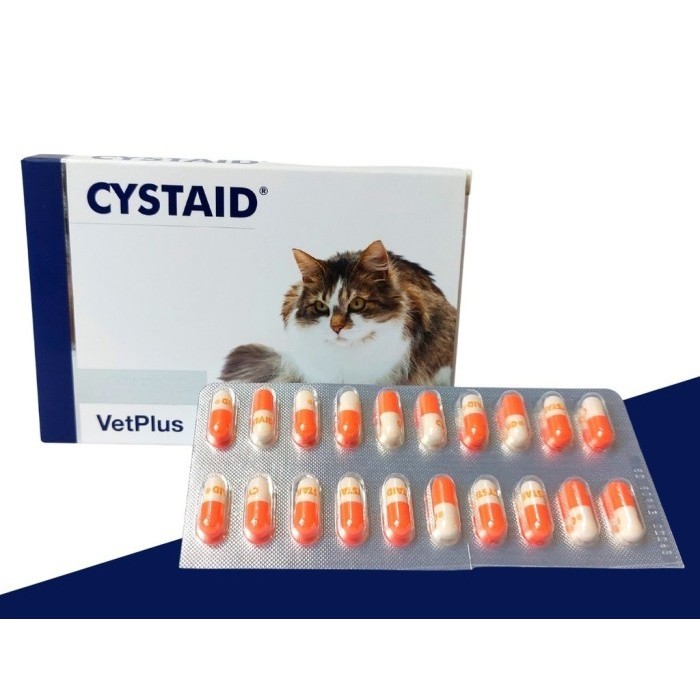 Cystaid effective flutd urinary tract medicine per capsule | Shopee ...