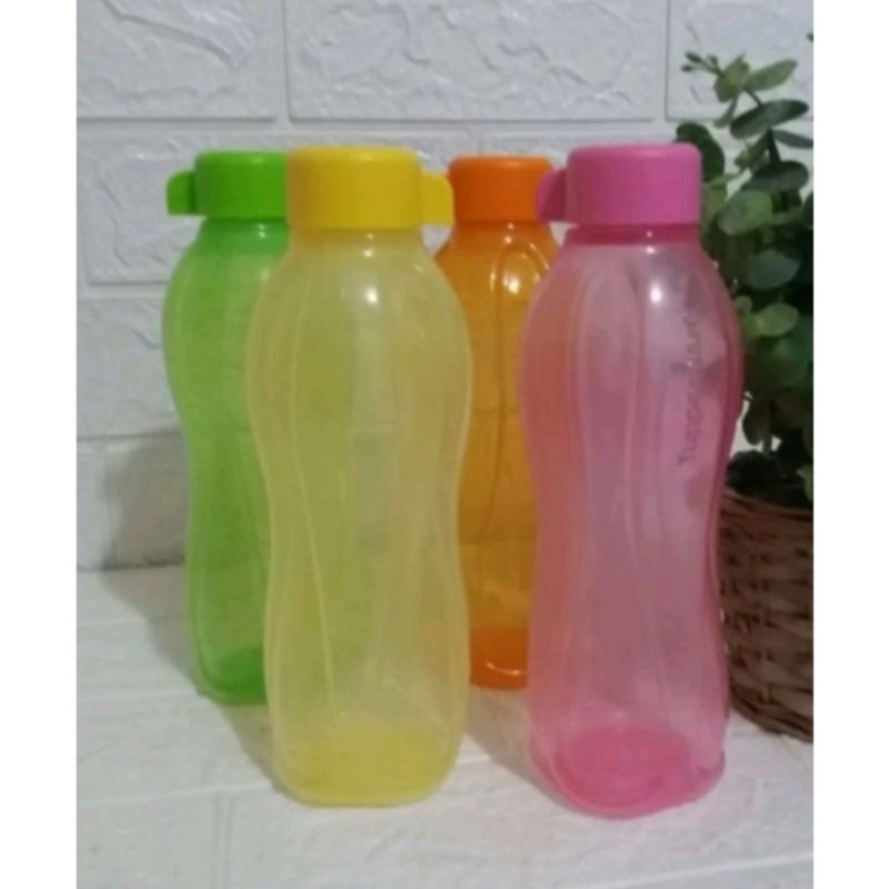 Eco Bottle Screw Cap 500ml/310ml/750ml | Shopee Malaysia