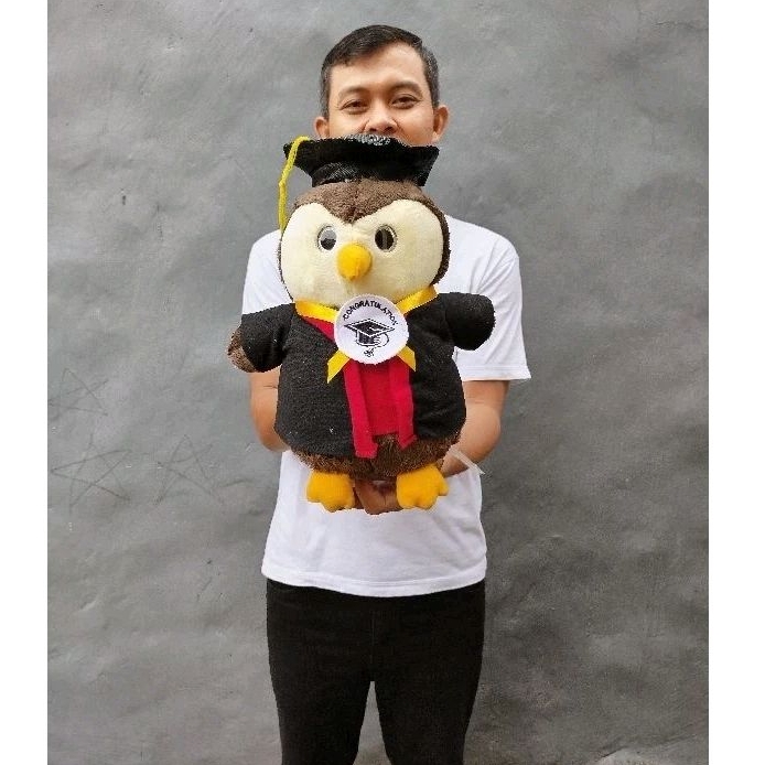 Graduation Doll Bear Owl Owl bouquet material Teddy Bear Plushie ...