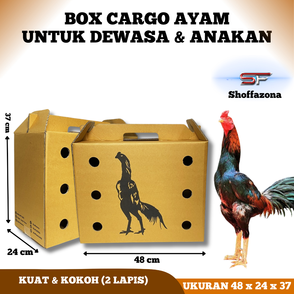Chicken Cardboard Box Cardboard Delivery for Adult Chickens and Puppies ...