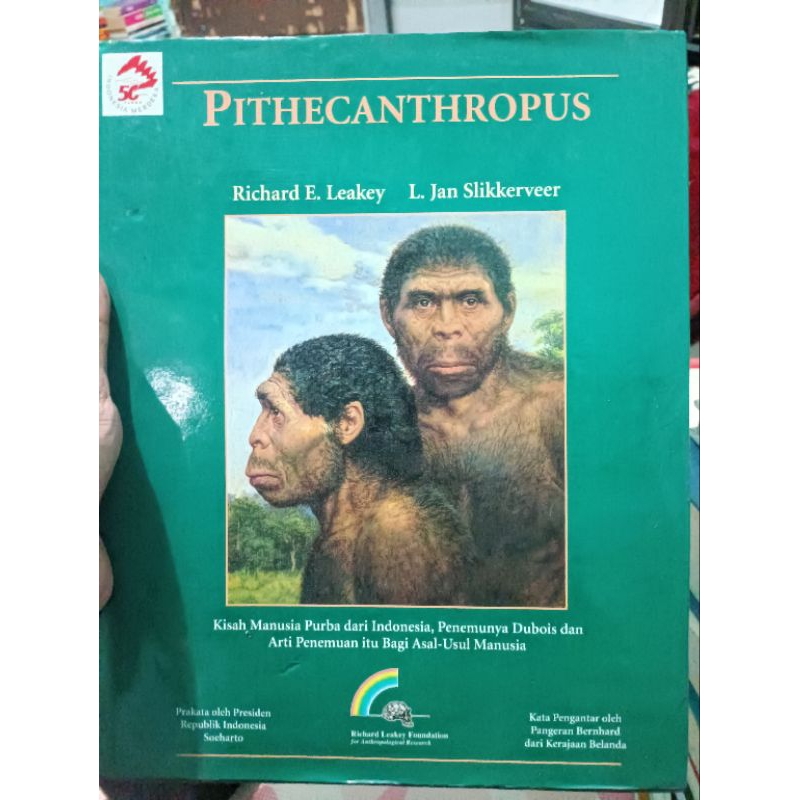 Pithecanthropus Ancient Human Story From Indonesia, The Inventor Of ...