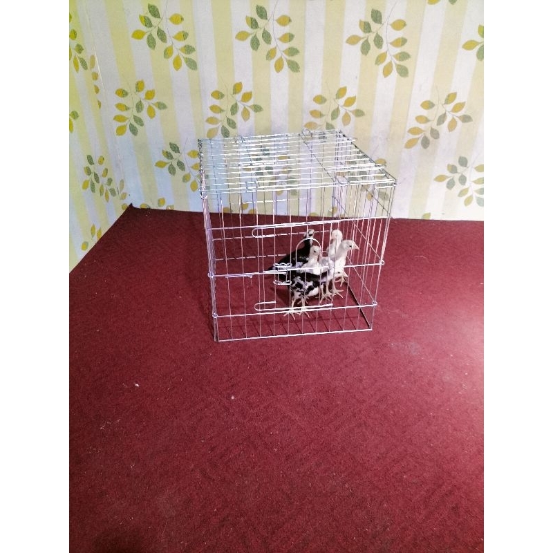 Kate Chicken Cage (Folding) | Shopee Malaysia