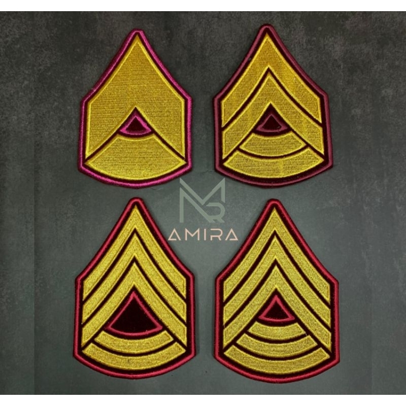 Rank Sevron Chevron PDH Safety Pins for AKPOL Cadets (a pair / 2 pcs ...