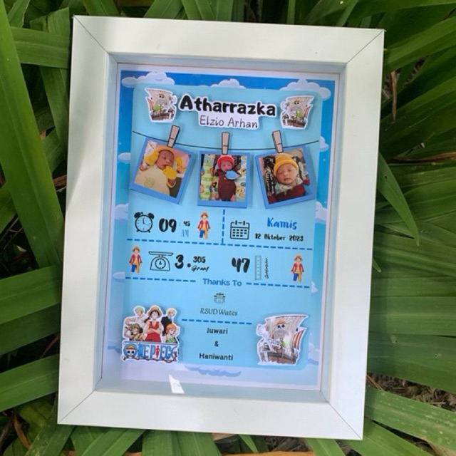 Newborn baby Biodata | Baby biodata frame | Baby Photo Frames | Shopee ...