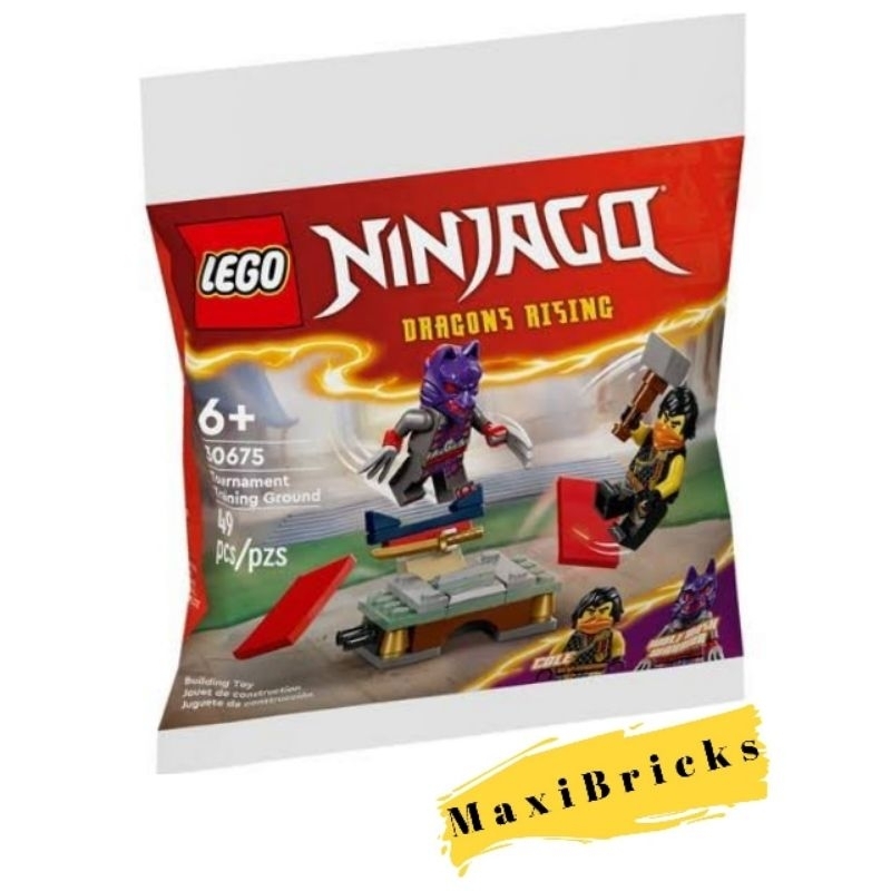 Lego Ninjago 30675 Tournament Training Ground & Kai and Rapton's Temple ...