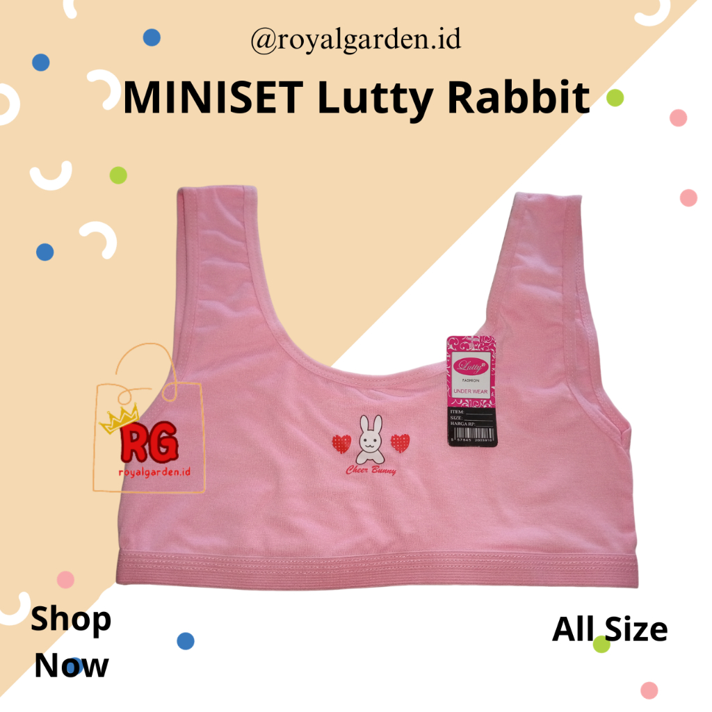 Minibra Bunny Rabbit Sport Children Brake Package Contents 3/6/12 ...