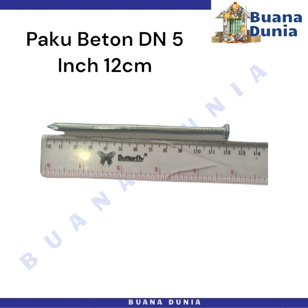 DN 5 Inch 12cm Galvanized Concrete Nails | Wall Nails | (1KTK) | Shopee ...