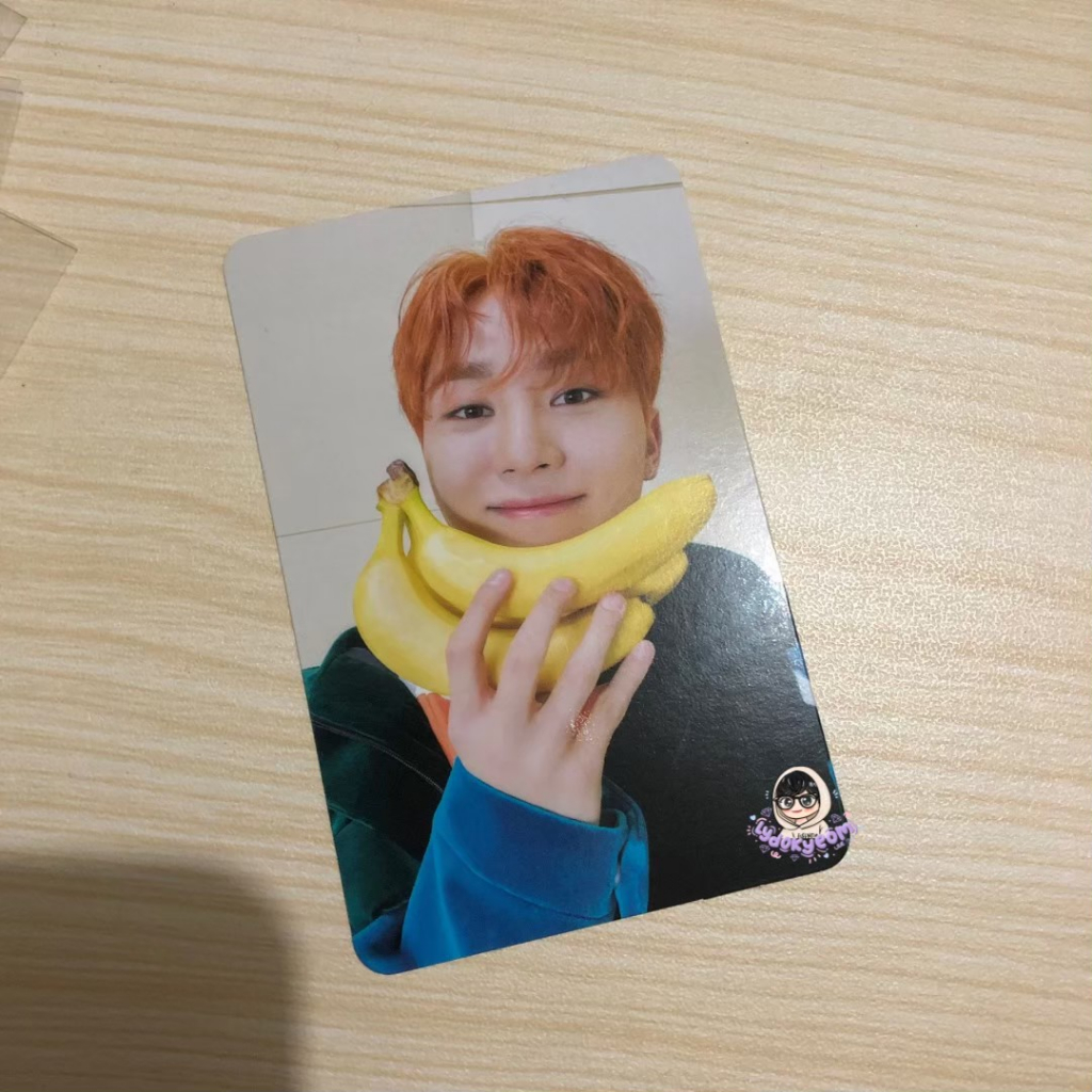 Seventeen PHOTOCARD OFFICIAL SEUNGKWAN VERNON JUN HOSHI MINGYU FML AN ODE KIT SECTOR17 HOSHI ...