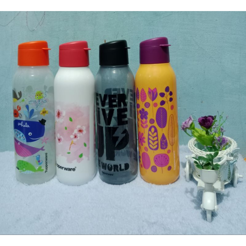 Eco fancy bottle tupperware | Shopee Malaysia