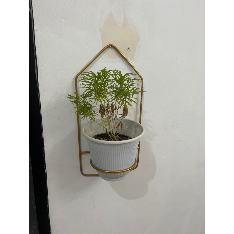 Standing flower pot stick-on model (house model) | Shopee Malaysia