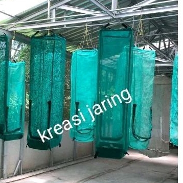 Bsf fly cage maggot cage 30x30x100m ready to use | Shopee Malaysia