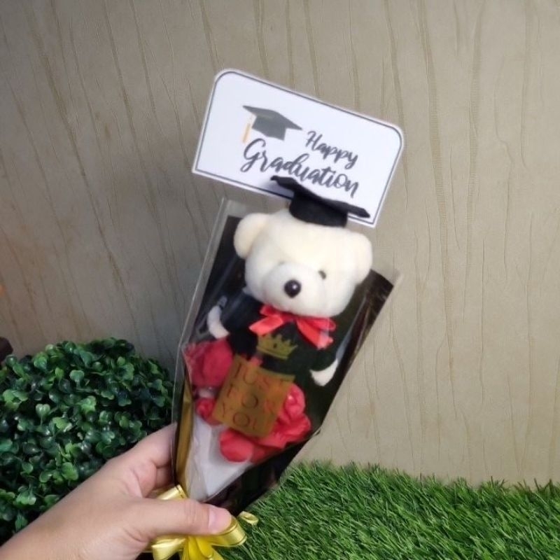 Graduation Graduation Graduation Doll Graduation | Shopee Malaysia
