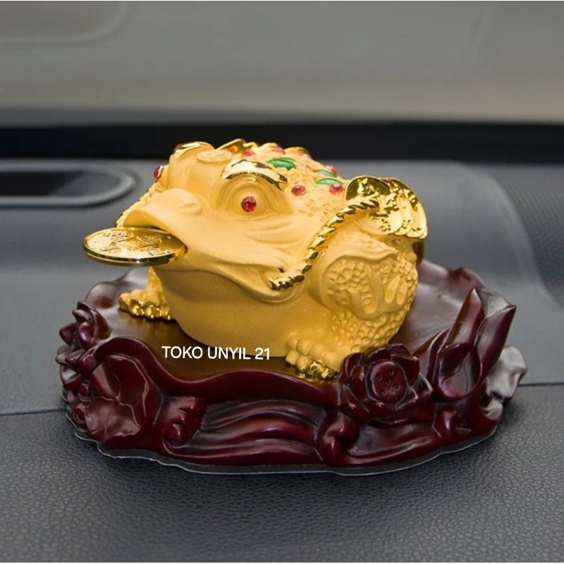 Fengshui Frog Bite Coin Display Fengshui Frog Display | Shopee Malaysia