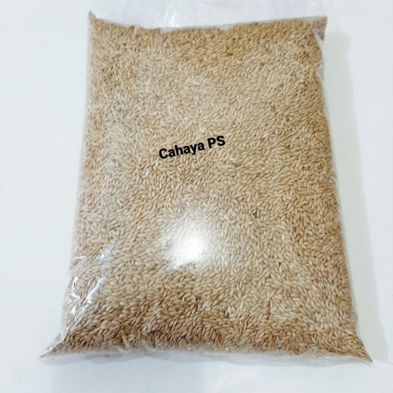 Padi Mas/Canary Seed (Repack 1 kg) | Shopee Malaysia