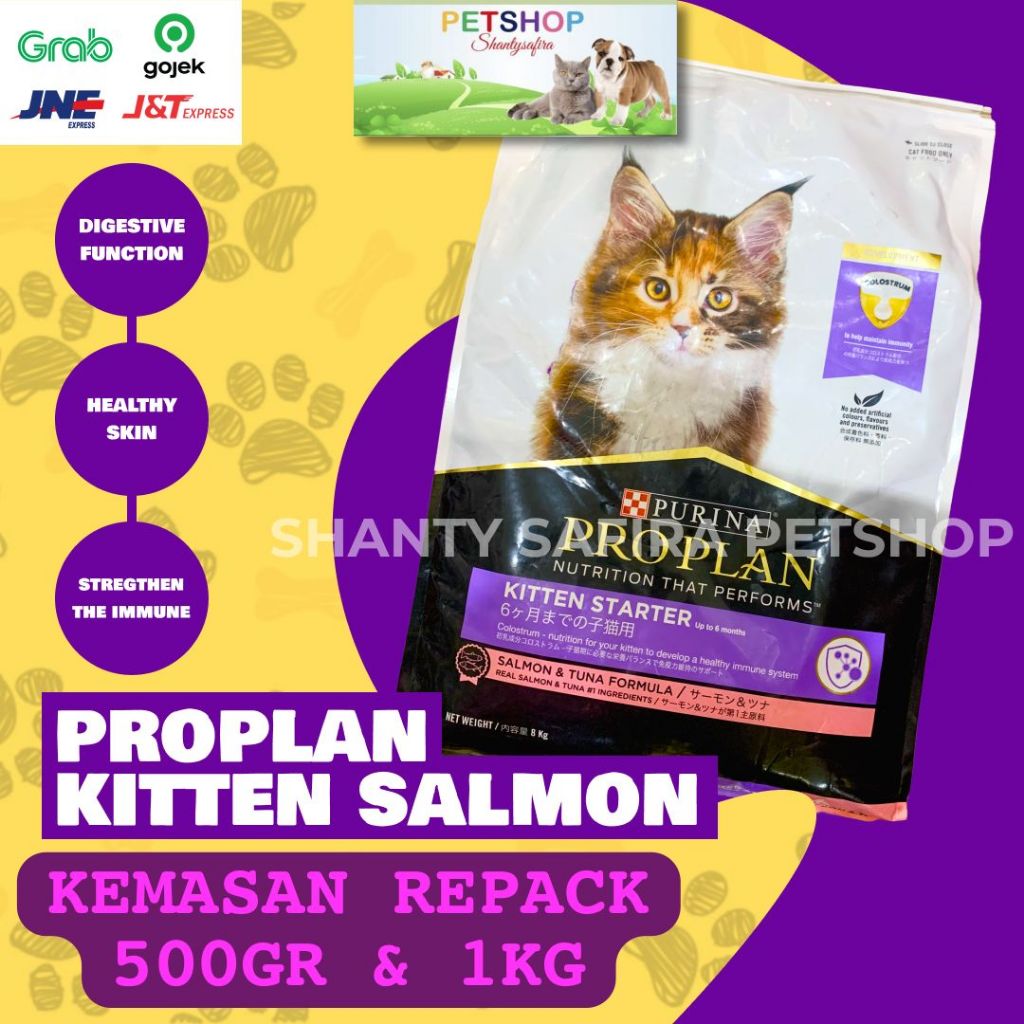 Premium Cat Food PROPLAN KITTEN STATER SALMON REAL Weight 500gr/1KG ...