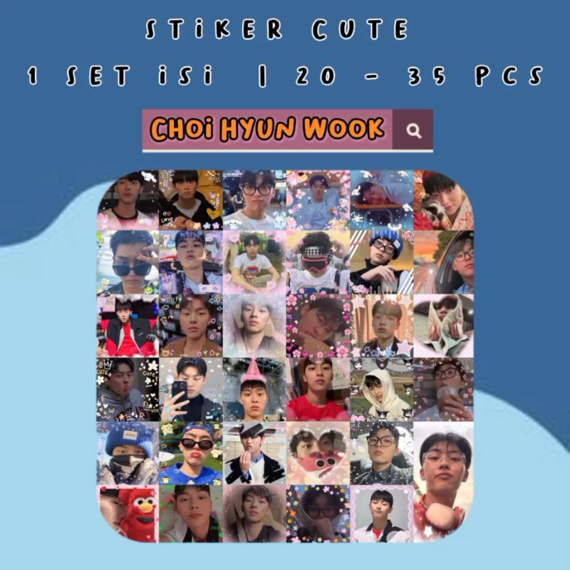 Choi Hyun Wook Stickers [Contents 20-35 pcs]/Choi Hyun Wook Stickers ...