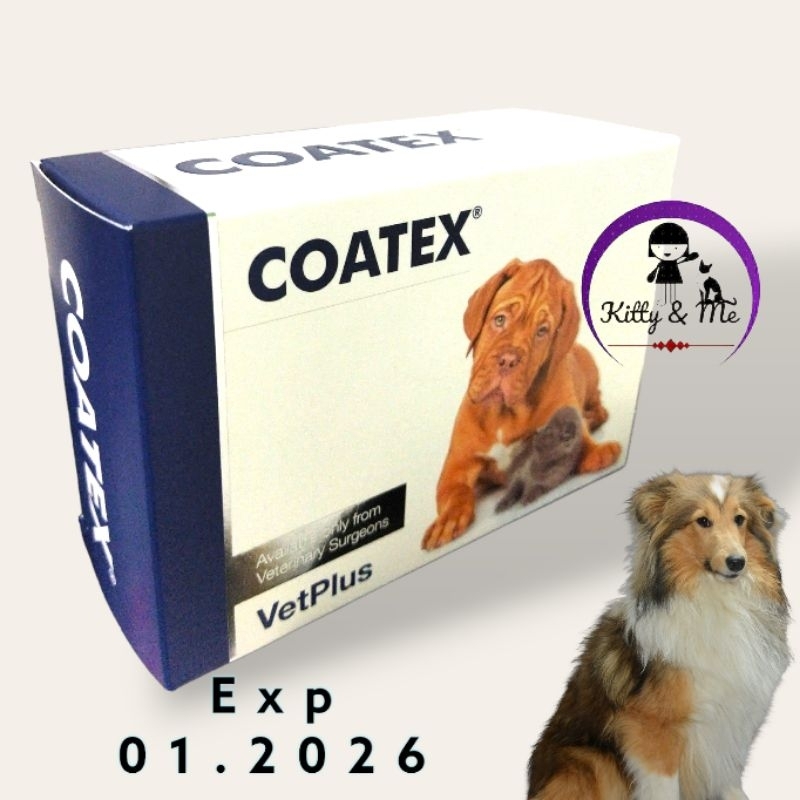 Coatex EFA Capsule VetPlus Vitamin Fur & Skin Dog Cat Per Strip (15 ...