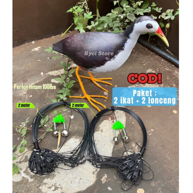 Trap Packet + Bird Ruak Ruak kareo Padi - truwok kareo rice field ...