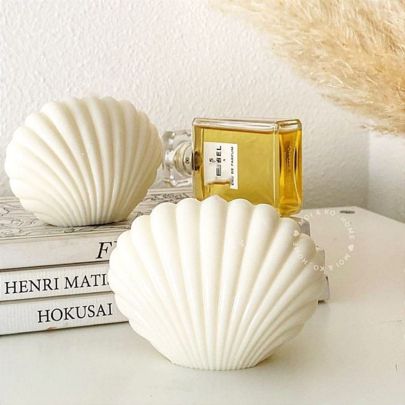 Seashell Concrete | Shell Display | Product Content Video Photo Props ...