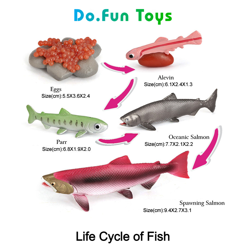 Animal Figure Life Cycle of Fish/Fish Life Cycle | Shopee Malaysia