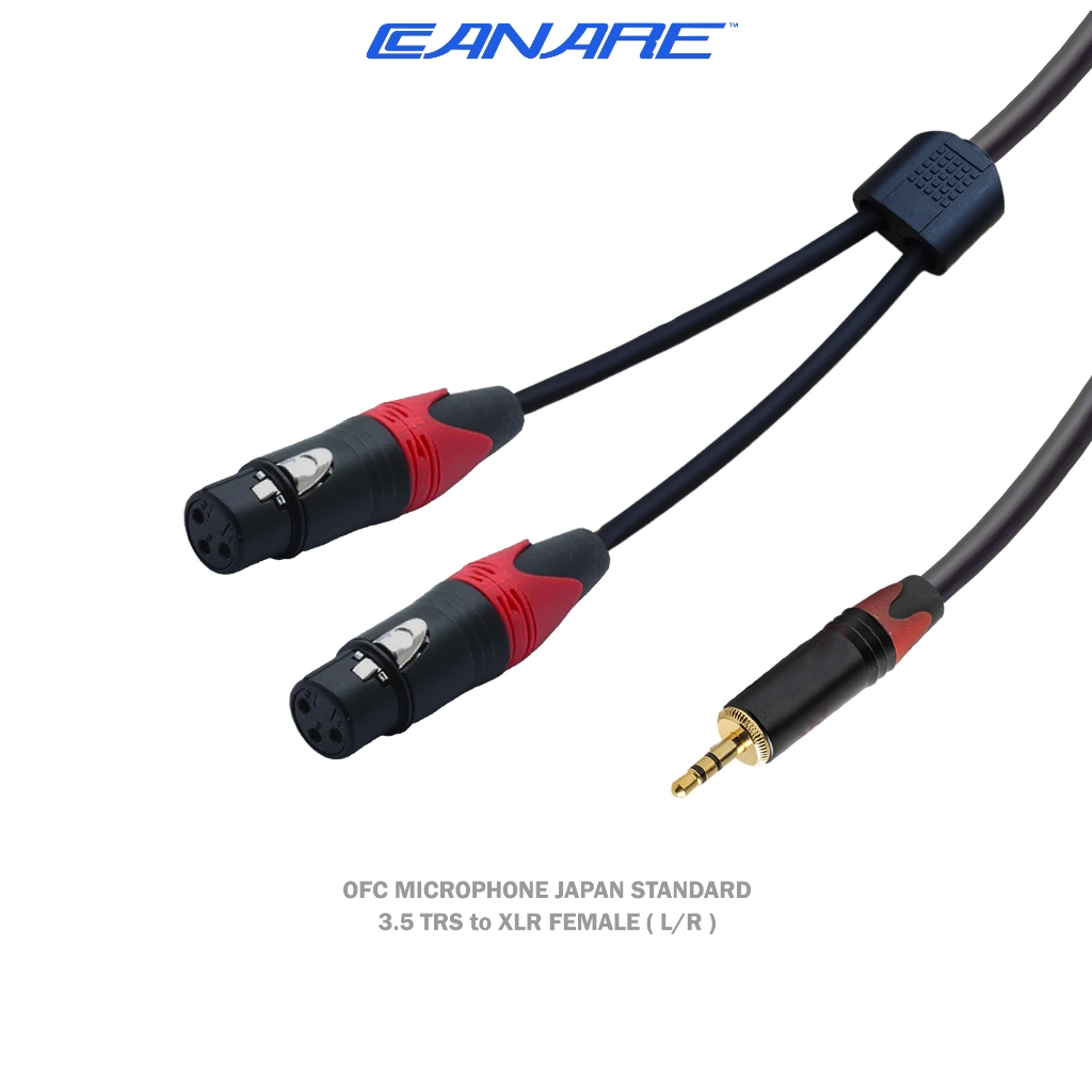 Canon 1 Mini Stereo 3.5 to 2 XLR Female Gold Plate Mier Jack Audio ...