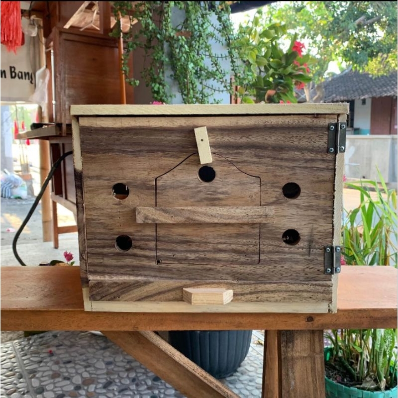 Gupon/pagupon minimalist pigeon house with double doors (full side ...