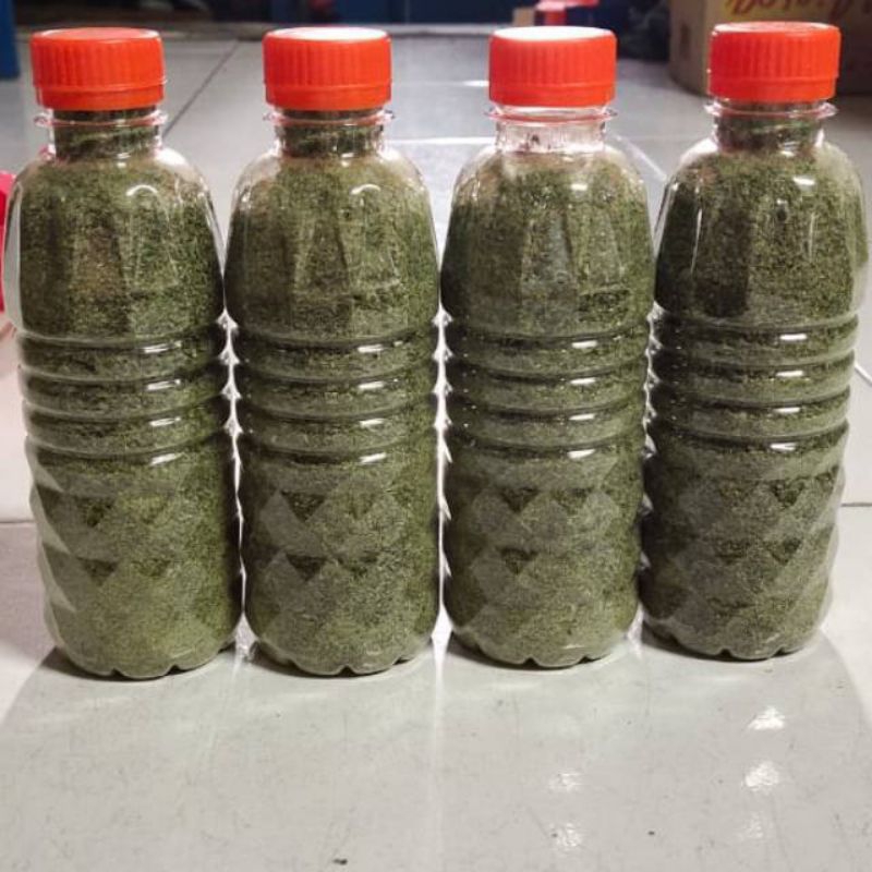 Kachiangma/ka Chiang Ma Original Kalimantan/Kaciangma Kalimantan ...
