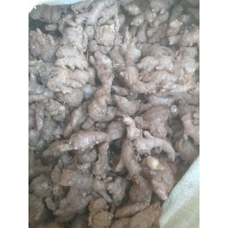 MERAH LOKAL Local Fresh Red Ginger 1kg | Shopee Malaysia