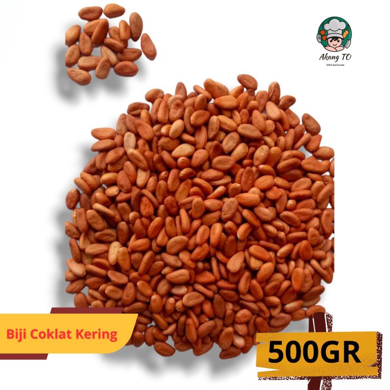 Cocoa Seeds/Cacao Seeds/Dried Chocolate Seeds/Suitable 500 Gram Bean ...