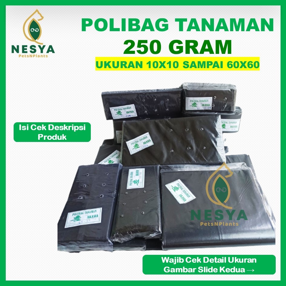 Polybag Polybag Polybag Polybag Polybag Polybag Plastic Pot 250gram ...