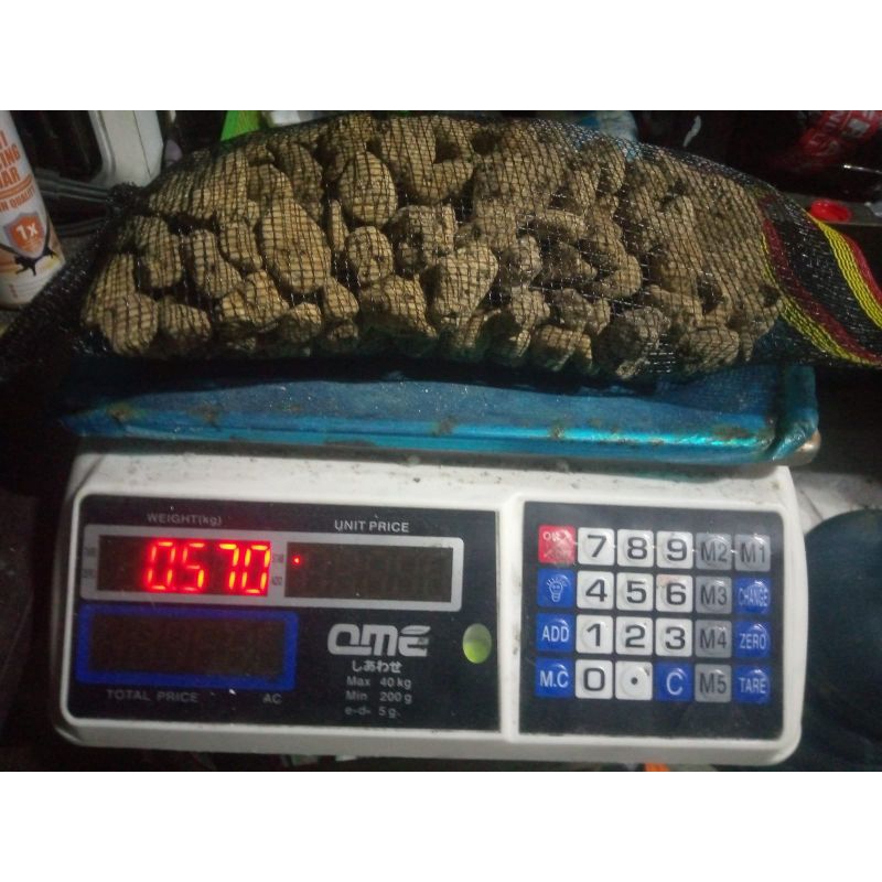 Pumice pumice stone plus BAG 500 gram filter media | Shopee Malaysia