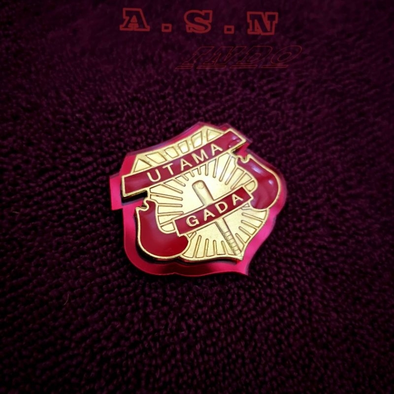 Acrylic Main Mace Pin, Resin Coating Plate Material | Shopee Malaysia