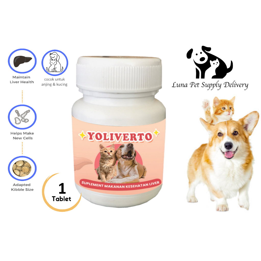 Yoliverto 1 Tablet Liver Supplement Dog Cat Health Liver Pain Hepatic ...