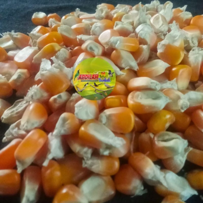 Yellow Corn Pet Food Feed 500 Grams Servant Blessing | Shopee Malaysia