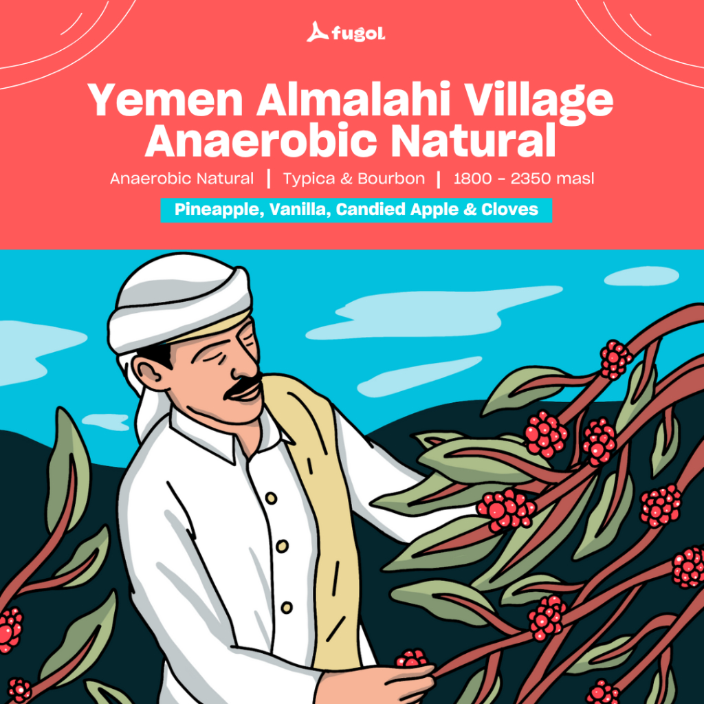 Yemeni Almalahi Village Anaerobic Natural Specialty Arabica Coffee ...