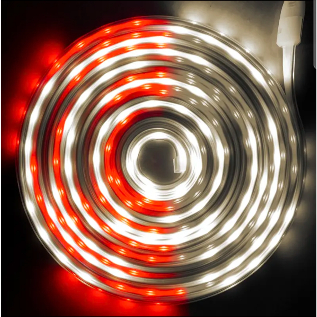 MERAH PUTIH Striplight 7M/10M/hose Light 7mtr 6color Twinkling RGB ...