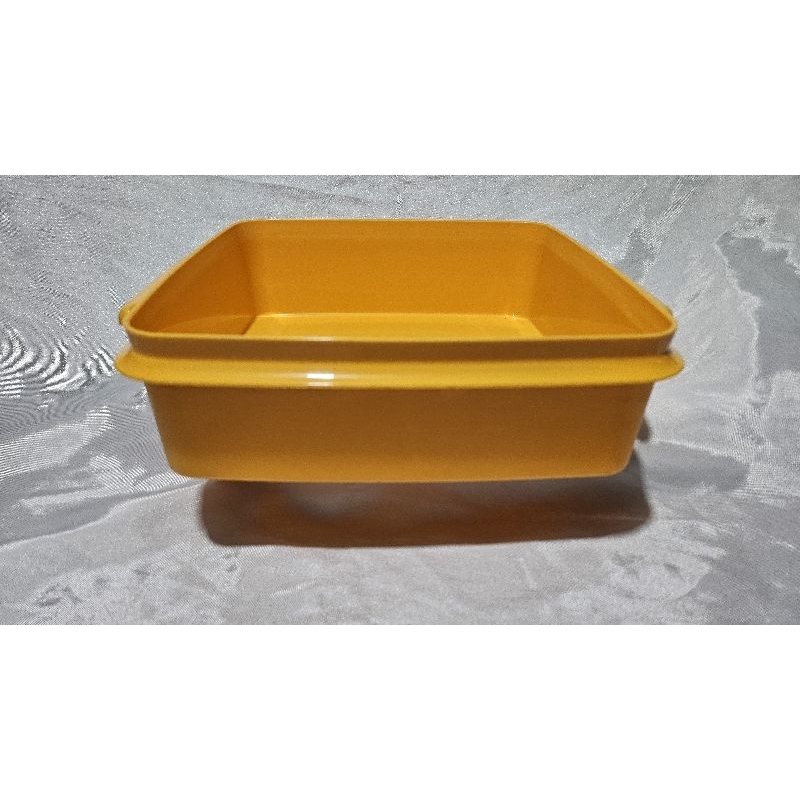 Base/double deep Container, tupperware | Shopee Malaysia