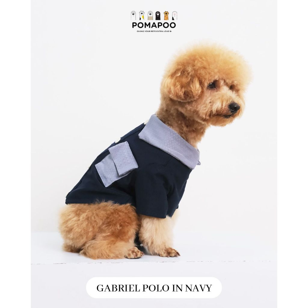 Pomapoo - Gaby Dress And Gabriel Polo. Cat Clothes And Dog Clothes ...
